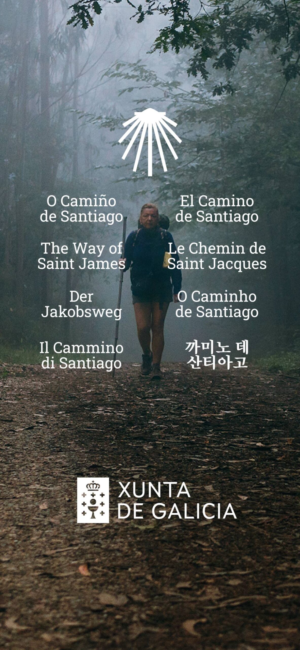 DESCUBRA LA INNOVADORA APLICACIÓN DEL CAMINO DE SANTIAGO - El ...